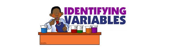 Regression Variables | Regression Model Variables