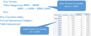 SAS PROC Format | Predefined and User Defined Format in SAS