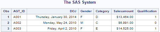 SAS PROC Format | Predefined and User Defined Format in SAS