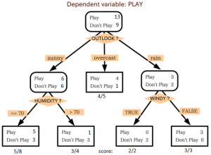 Stack Oasis: Decision Tree for Beginners