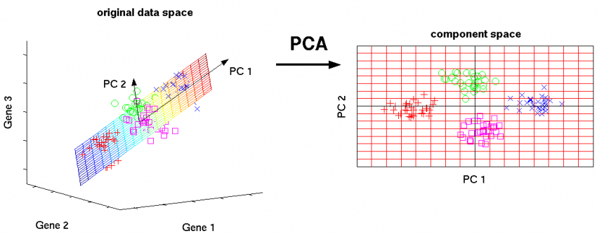 PCA: Practical Guide to Principal Component Analysis in R & Python