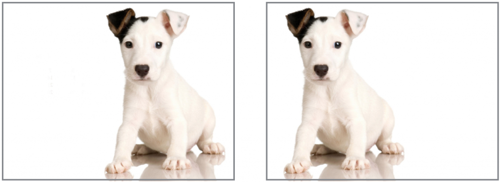 Convolution Neural Network | Deep Learning Computer Vision