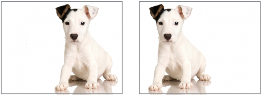 Convolution Neural Network | Deep Learning Computer Vision