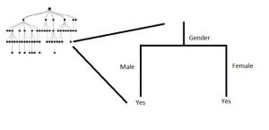 Questions On Tree Based Algorithms To Test Data Scientist